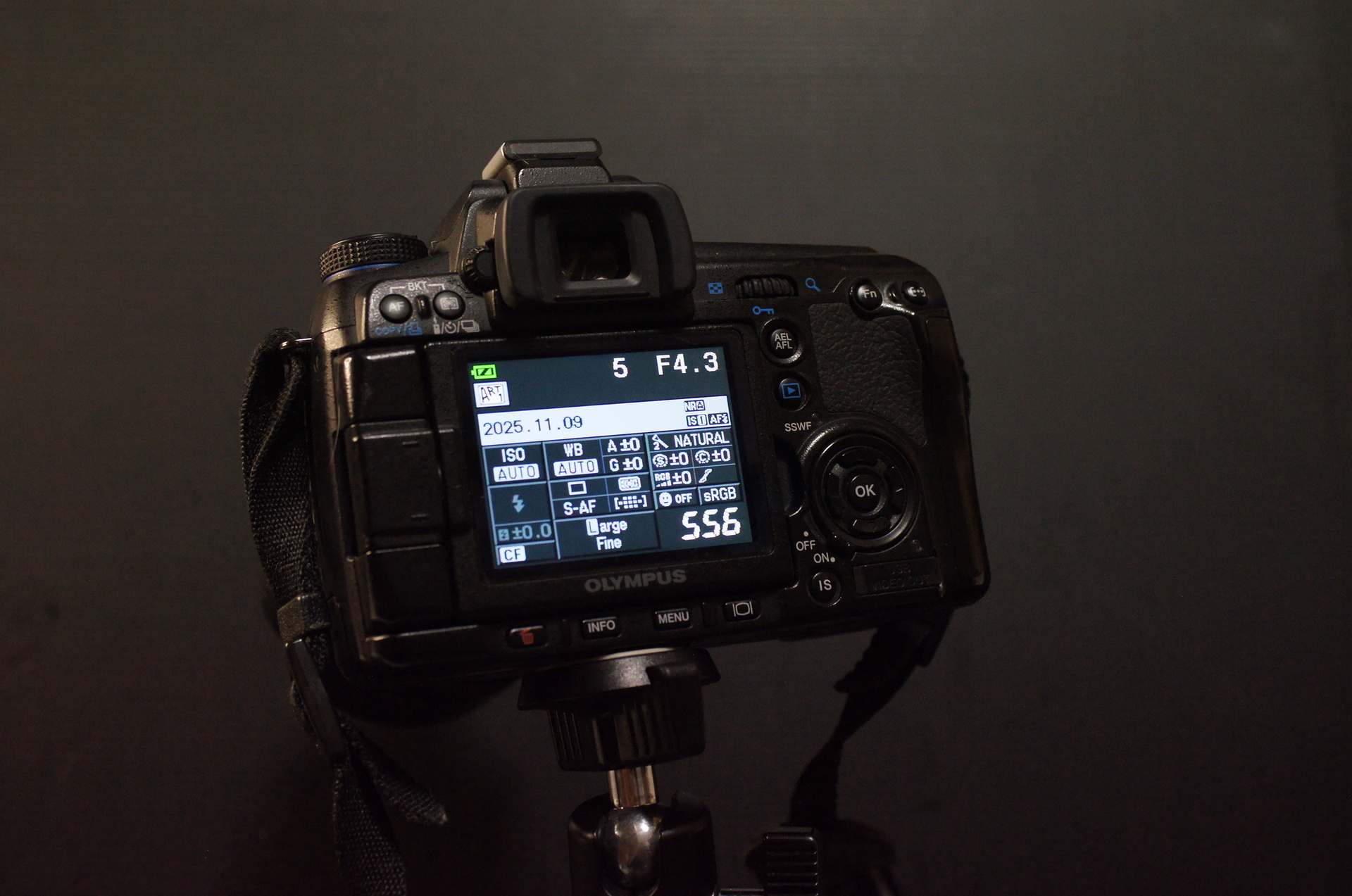 オリンパス E-30 を撮る: ぽてきち写真雑記2